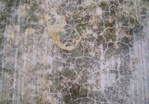 What is Concrete Laitance? Causes, Testing & Removal Methods